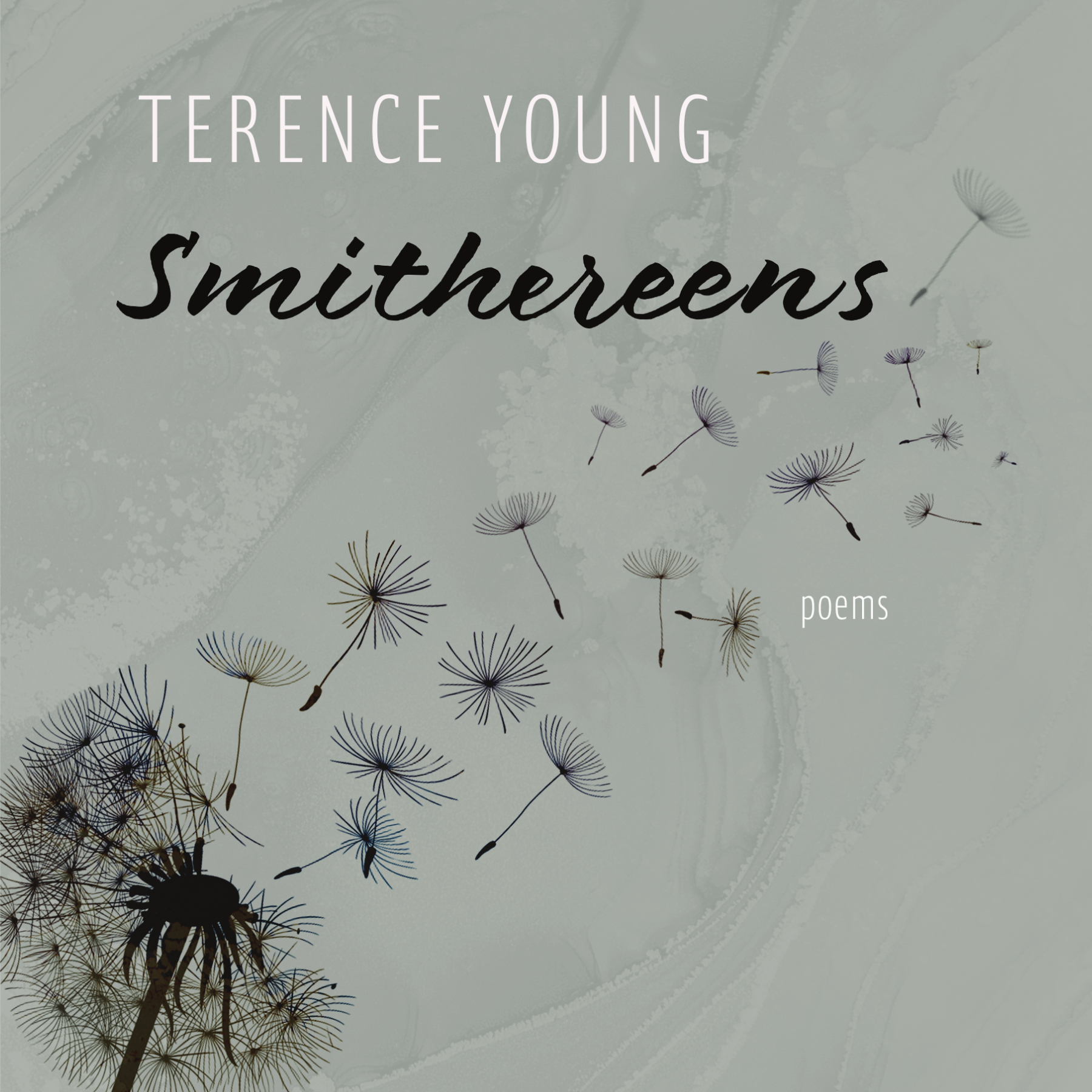 Terence Young featured in 2022/23 Poetry in Transit Program announced ...