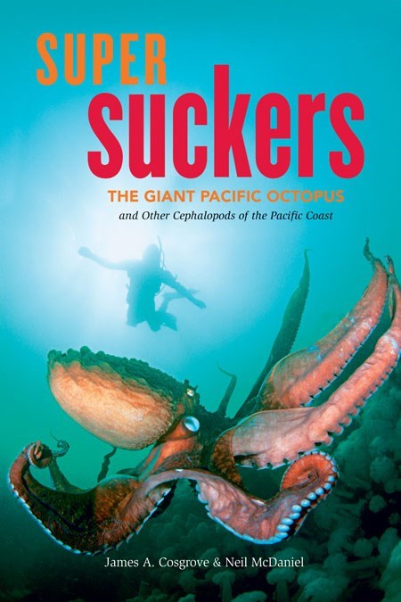 Octopus Anatomy Giant Pacific Octopus Octopus Anatomy Octo Physiology